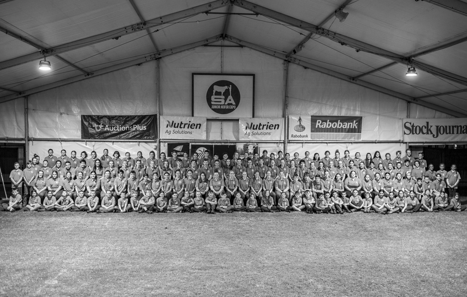 How to Enter for the Expo - SA Junior Heifer Expo